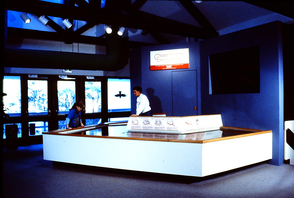 Tidal Touch Pool - Kevin Merino