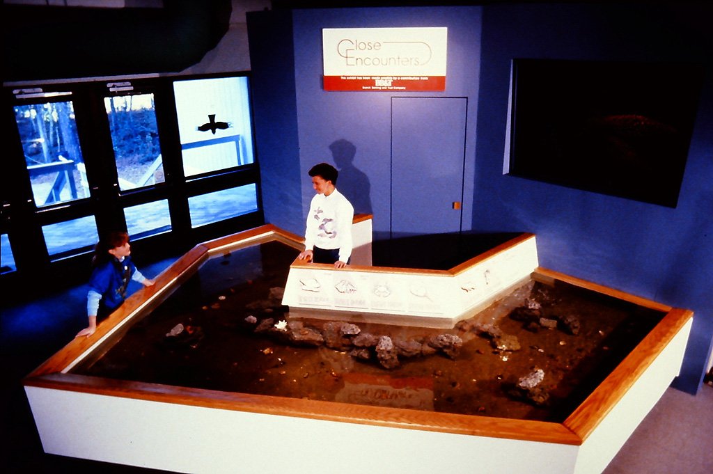 Tidal Touch Pool - Kevin Merino