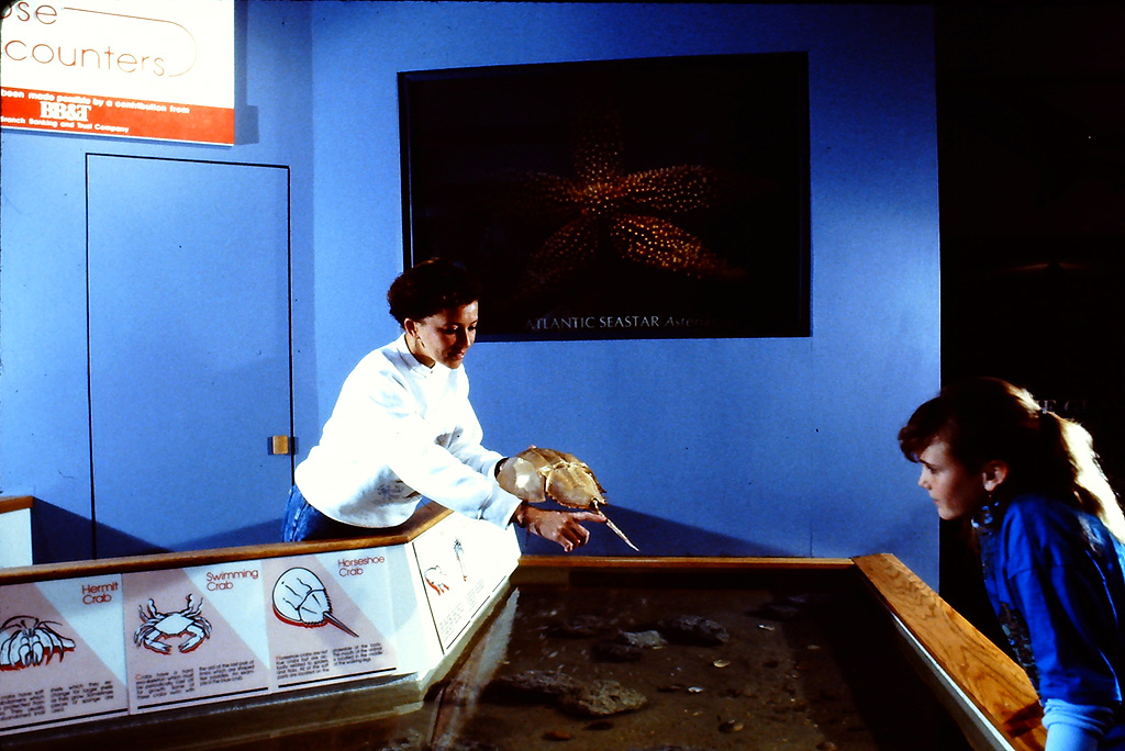 Tidal Touch Pool - Kevin Merino